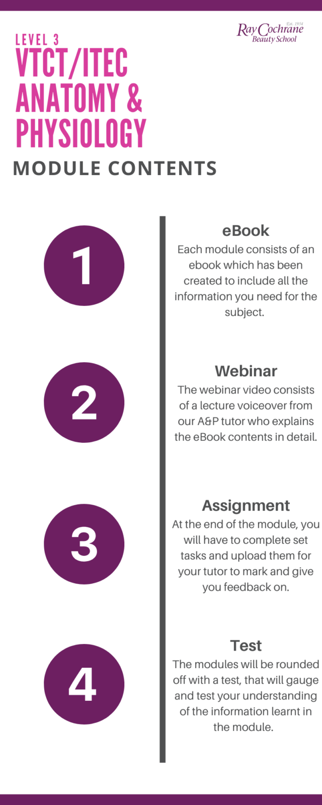 Introducing Anatomy and Physiology Online Course