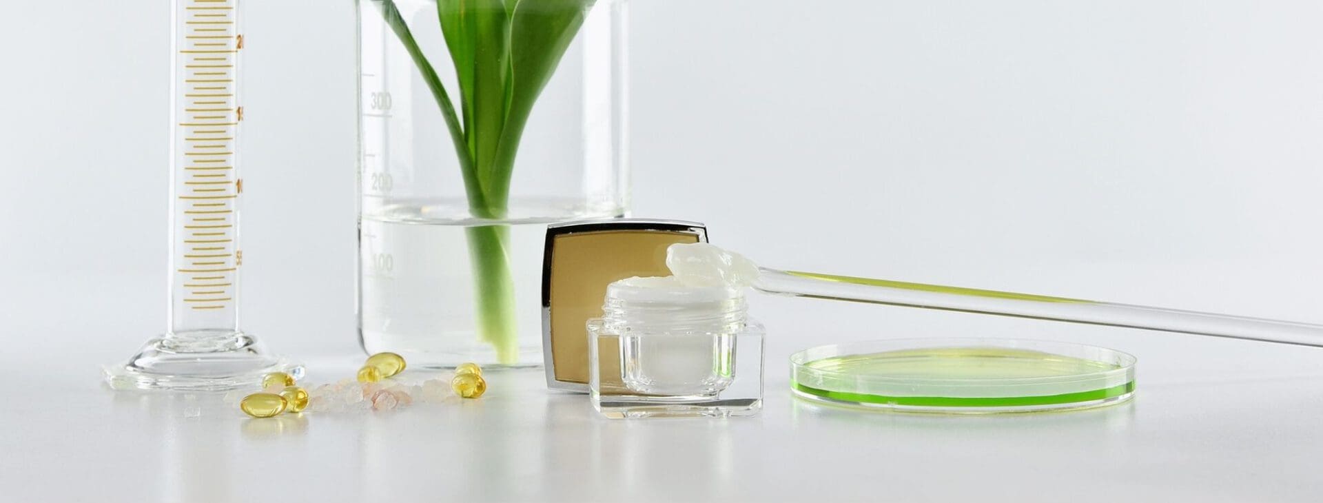 12 Best Skincare Ingredients You Must Know