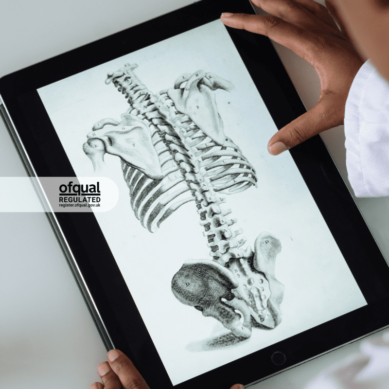 Anatomy and Physiology Online Course | Level 3 Accredited